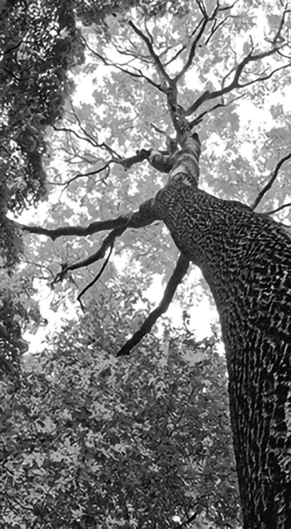 Sustainability Schemes Round Up | Aldermore Bank